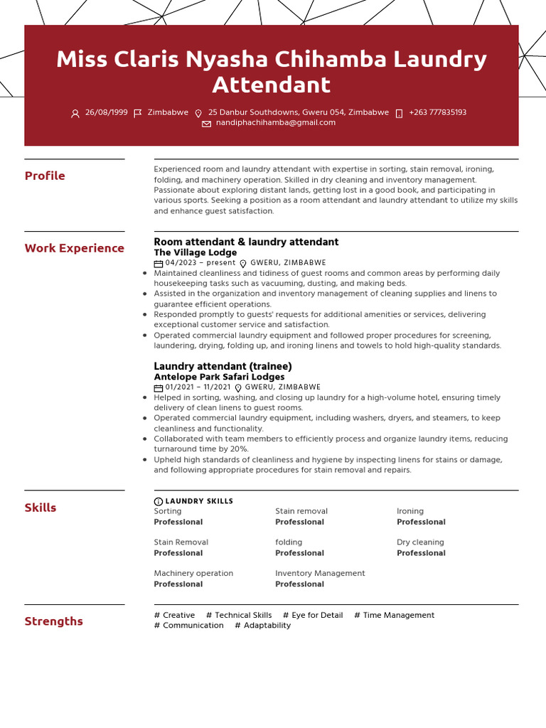 Claris Nyasha Chihamba | PDF | Laundry | Linens