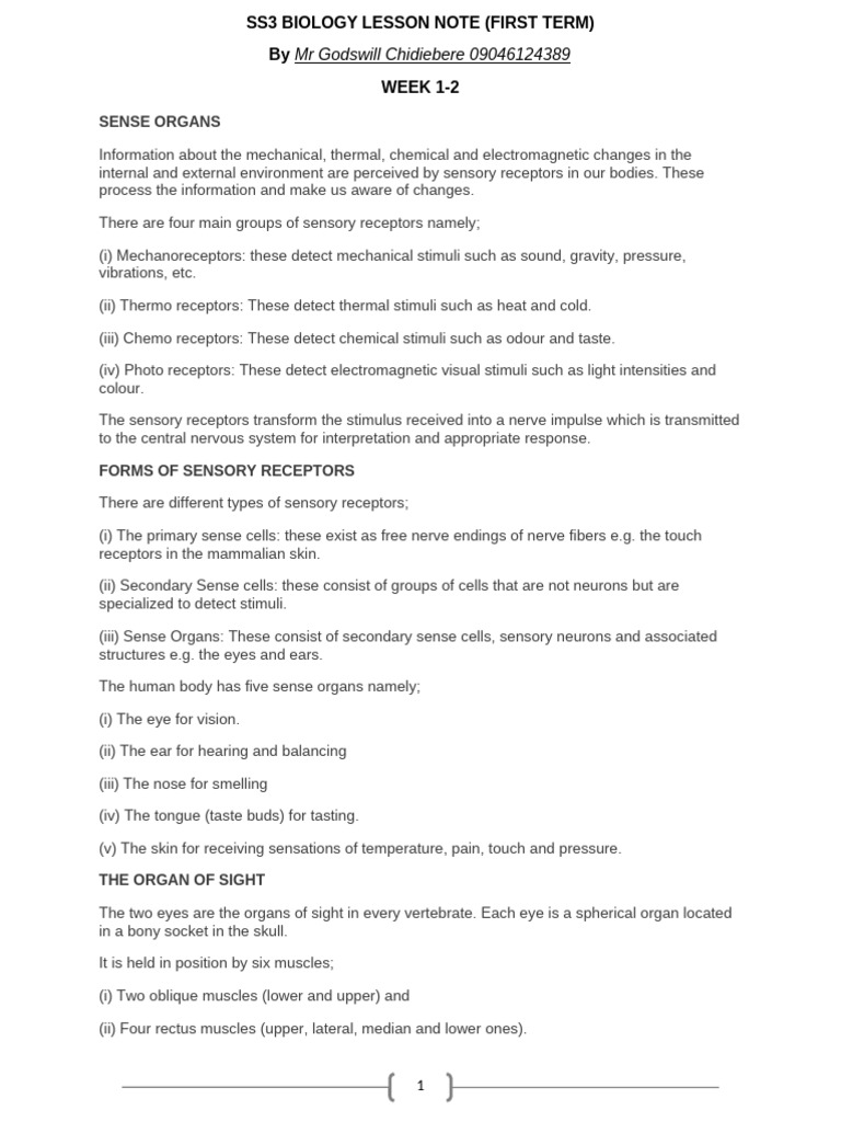 SS3 Biology Lesson Note | PDF | Senses | Ear
