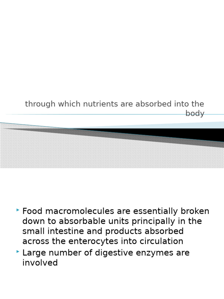 Nutrient Digestion and Absorption Process | PDF | Digestion | Glucose