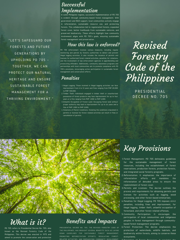 Forest Green Plants Product Trifold Brochure - 20231221 - 222532 - 0000 ...