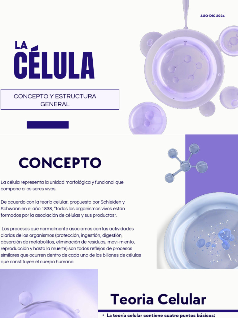 La Cã©lula | PDF | Biología Celular) | Citoplasma