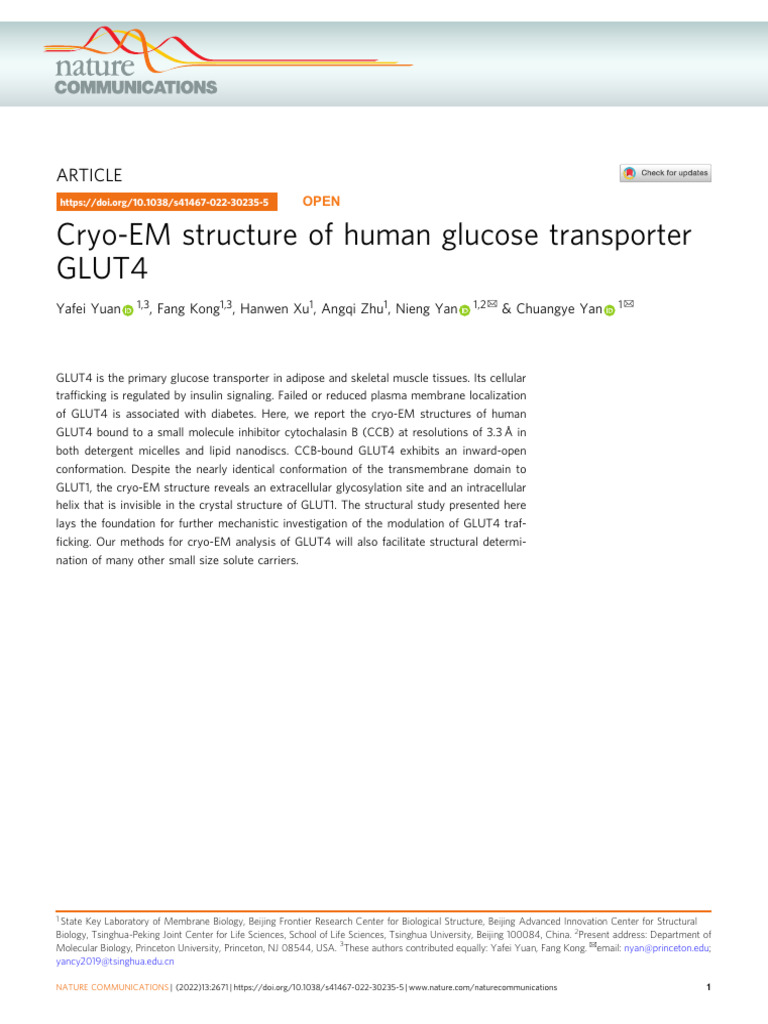 Estructura Del Transportador de Glucosa Humana GLUT-4 | PDF | Insulin | Biotechnology