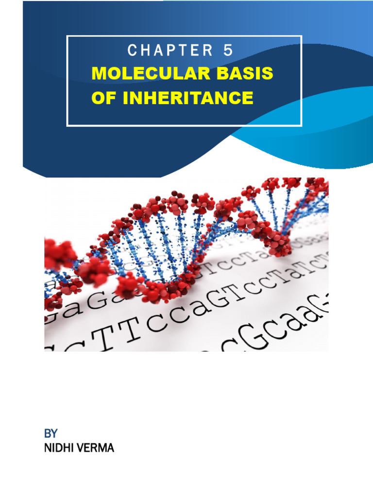 MOLECULAR BASIS OF INHERITANCE NOTES Chapter 5 | PDF | Operon ...