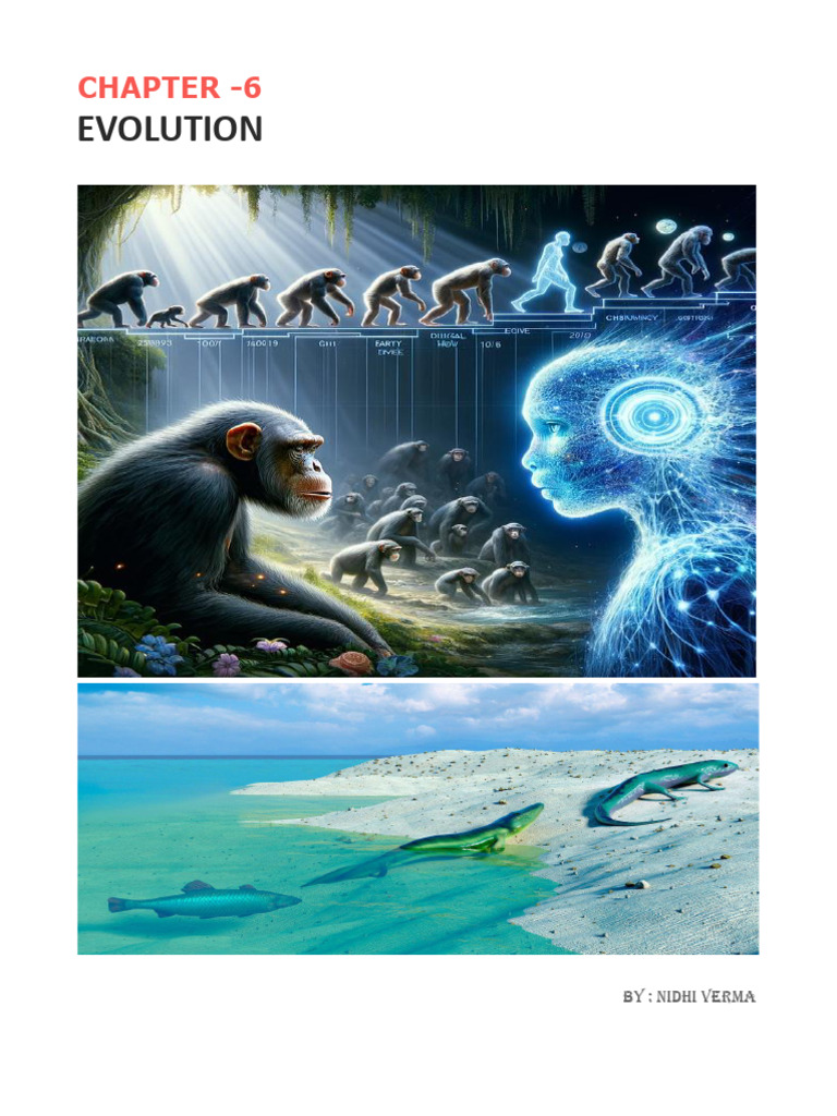 Evolution Notes | PDF | Natural Selection | Abiogenesis