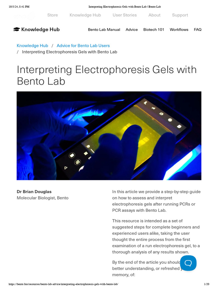 Interpreting Electrophoresis Gels With Bento Lab - Bento Lab | PDF | Agarose Gel Electrophoresis ...