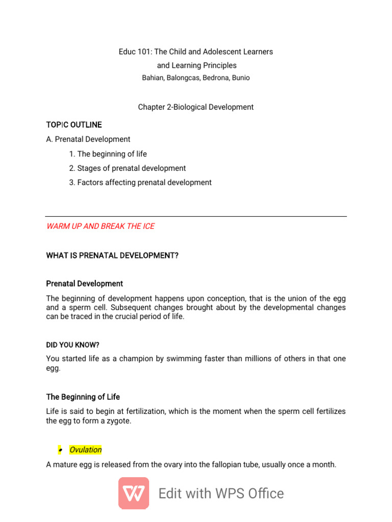 EDUC-101-G2 Biological Development | PDF | Prenatal Development | Pregnancy