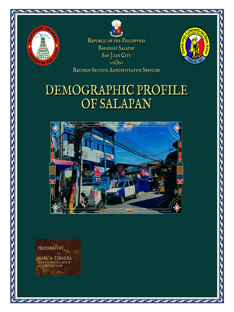 Demographic Profile of Salapan 2023 | PDF