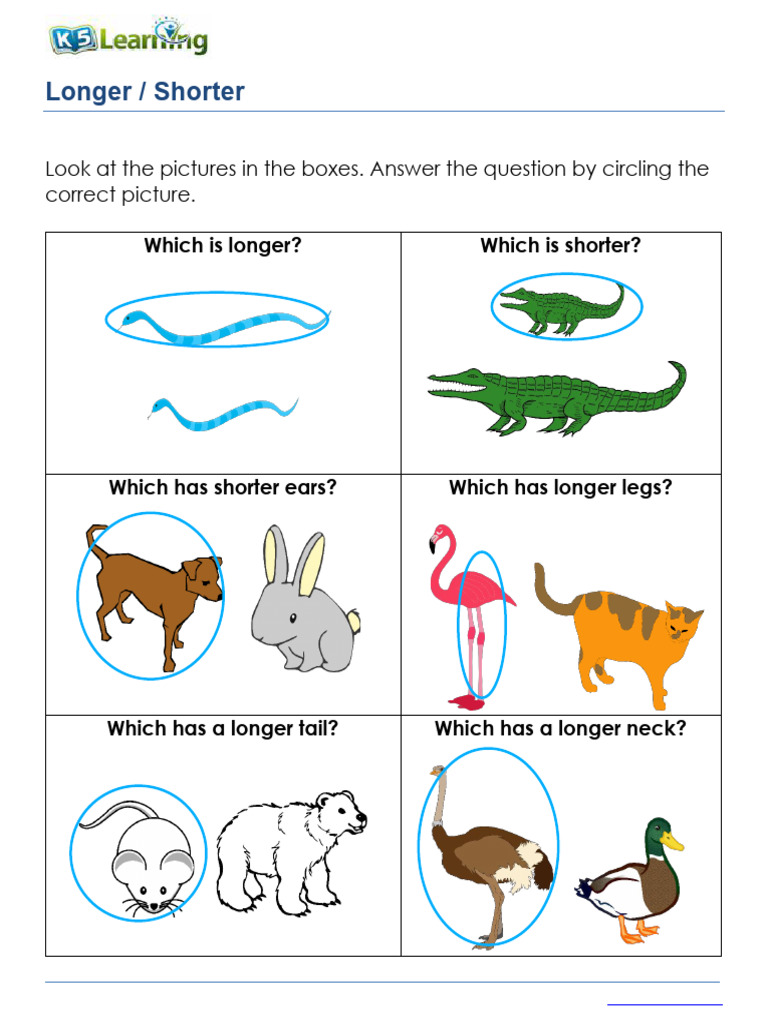 Grade-1-Measurement-Longer-Shorter-A Done | PDF