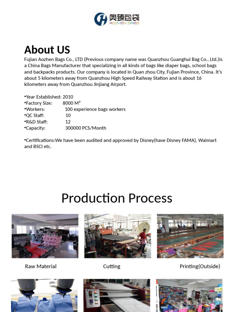 Aozhen Bags Profile | PDF