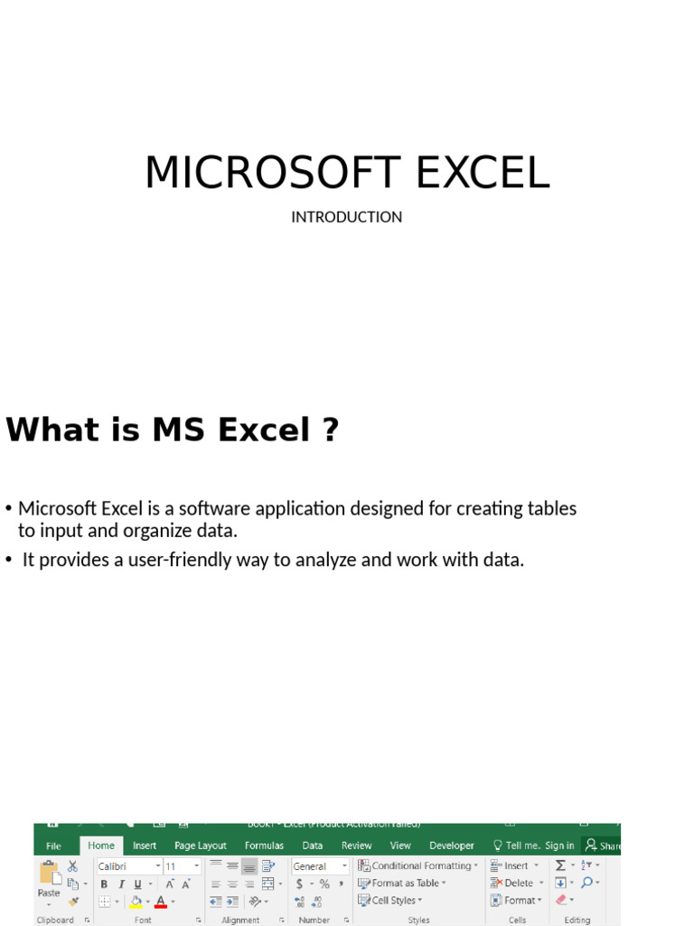 Introduction To Microsoft Excel | PDF | Microsoft Excel | Computer Science
