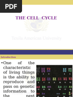 Biology Chapter 10 Cell Cycle and Cell Division Class 11 Notes PDF ...