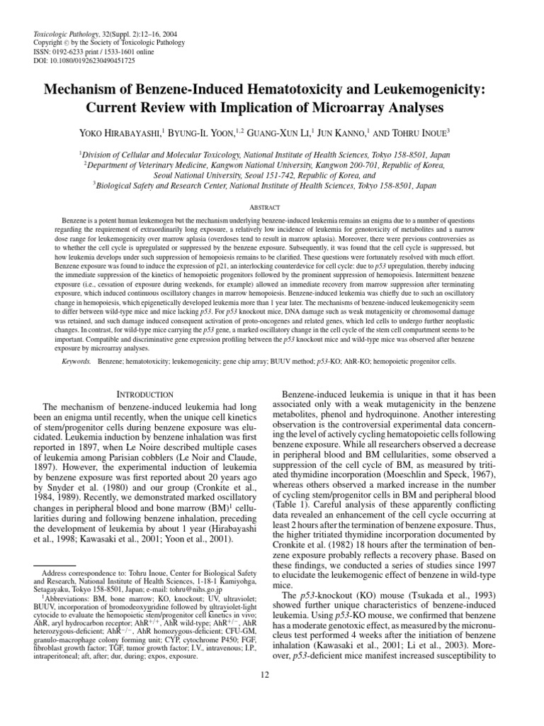 Hirabayashi Et Al 2004 Mechanism of Benzene Induced Hematotoxicity and ...