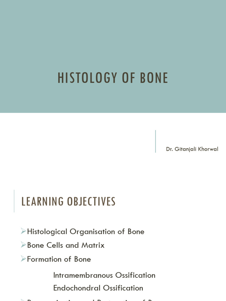 826 Histology of Bone | PDF | Bone | Osteoblast