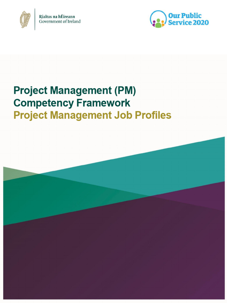 OPS2020 Project Management Competency Framework v4.2 | PDF | Project Management | Governance