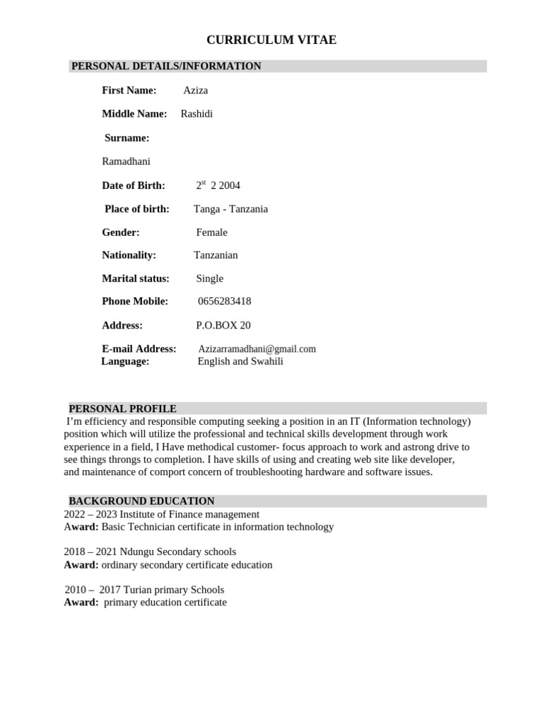 Aziza CV | PDF | Information Technology | Computing