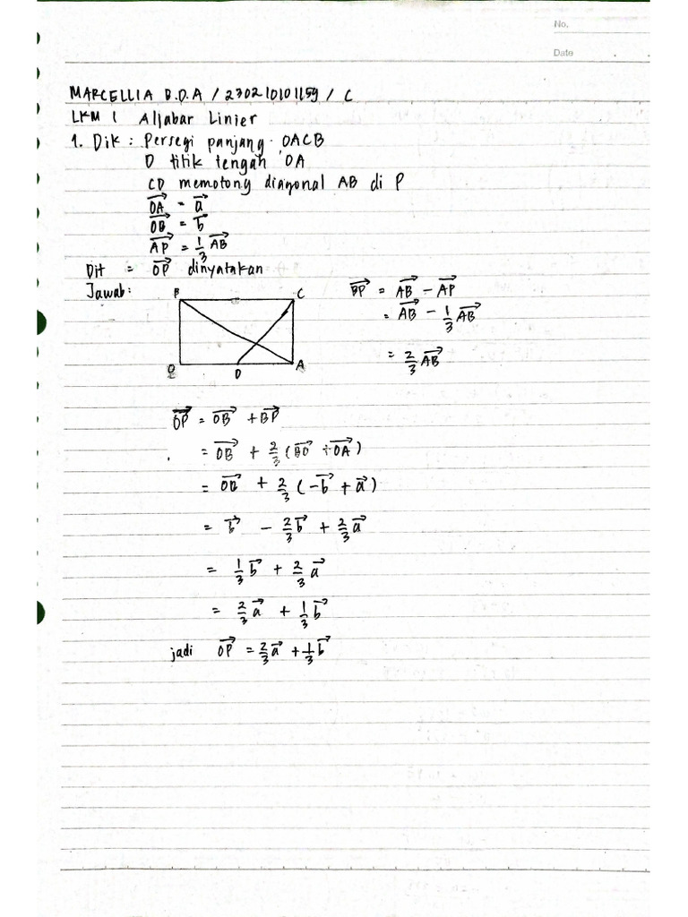 Alin LKM 1 Marcellia BDA | PDF