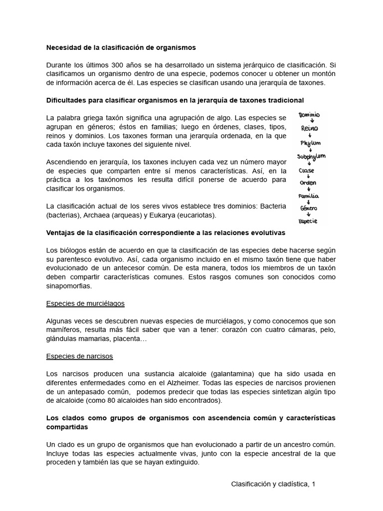 Tema 14. Clasificación y Cladística | PDF | Clade | Taxón