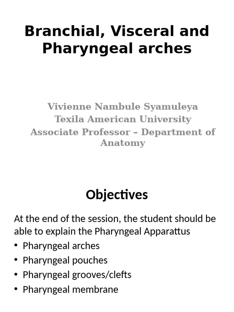 Branchial, Visceral and Pharyngeal Arches | PDF | Anatomy | Human Head ...