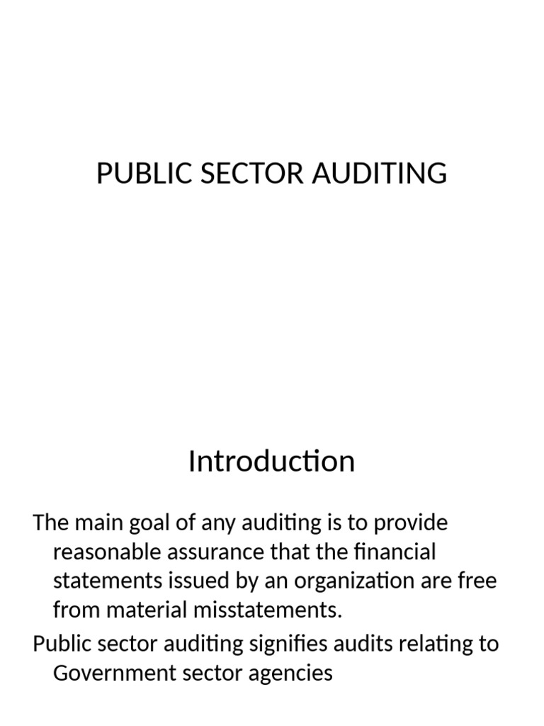 Public Sector Auditing | PDF | Audit | Internal Audit