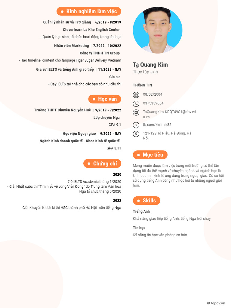 CV - T Quang Kim | PDF