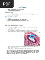 Bài 1 - Biểu Mô | PDF