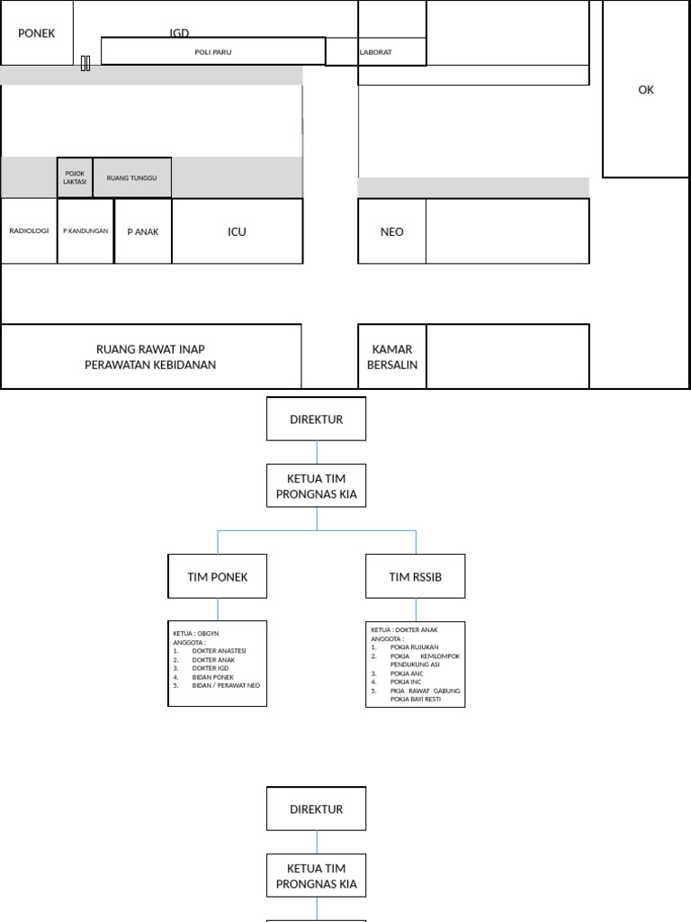 Gambar Bagan Ponek | PDF | Kesehatan Holistik