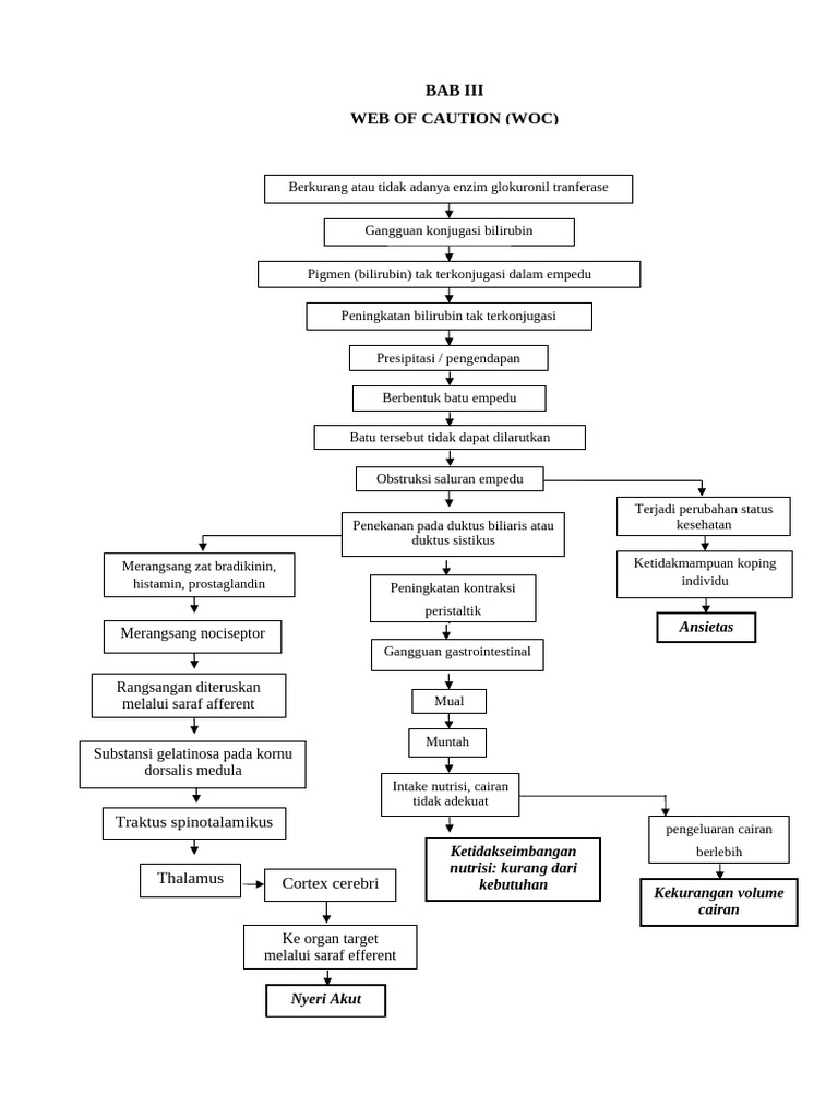 Woc Cholelitiasis | PDF