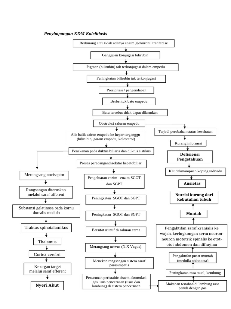 Penyimpangan KDM Kolelitiasis | PDF