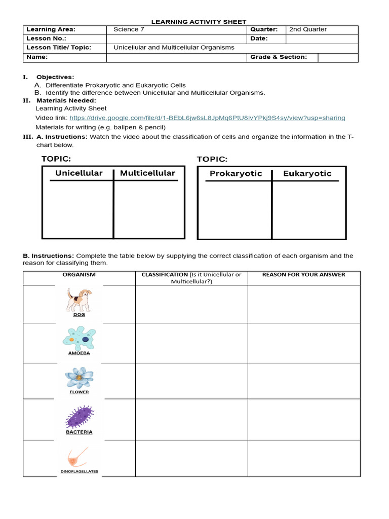 Prokaryotic vs. Eukaryotic Cell Activity Sheet | PDF