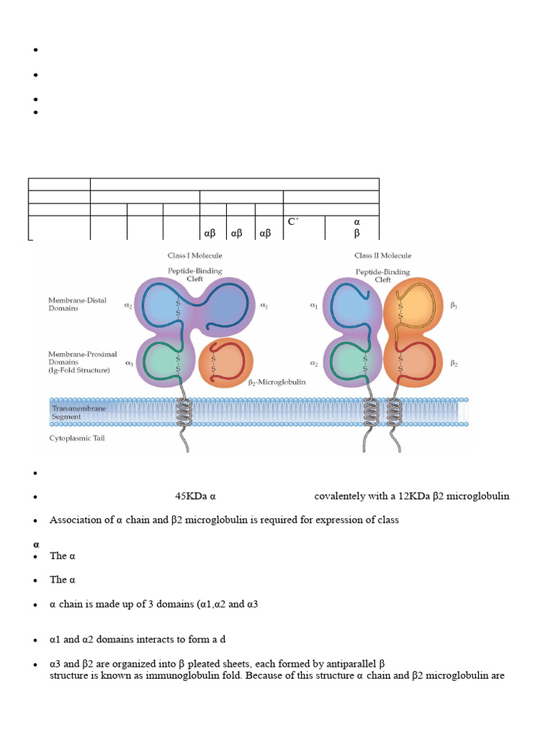 Major Histocompatibility Complex | PDF | Major Histocompatibility ...