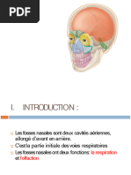 54 - Tamponnement Nasal Anterieur | PDF | Tête et cou chez l'humain ...