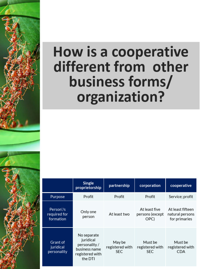 Fundamentals of Cooperative Day 4 | PDF | Cooperative | Business