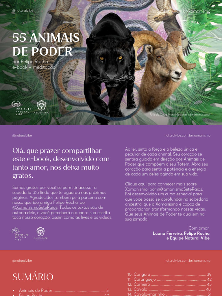 55-animais-de-poder-meditacao-guiada | PDF | Cães | Xamanismo