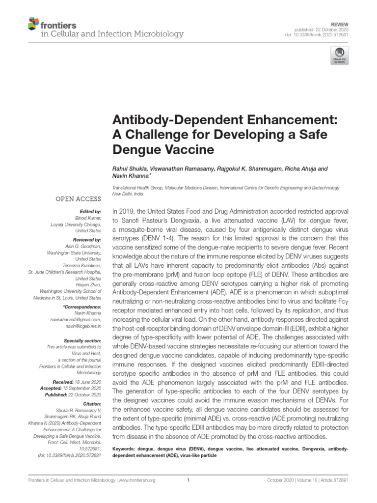 Antibody-Dependent Enhancement - A Challenge For Developing A Safe ...