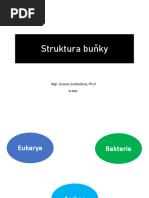 Laboratorni Cviceni - Pozorovani Bunek V Pokozce Cibule | PDF