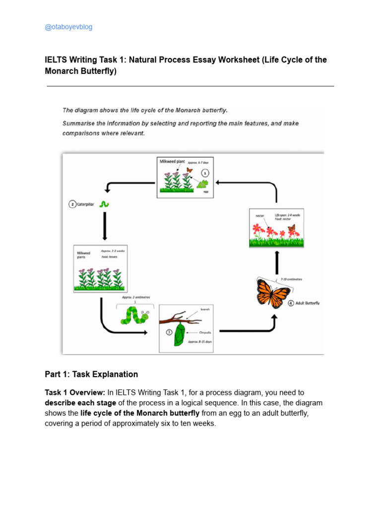 Natural Process Essay Worksheet Life Cycle of The Monarch Butterfly ...