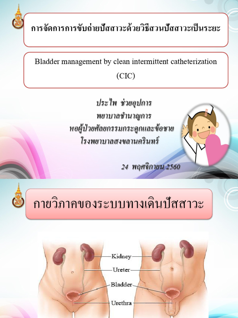 Bladder Management by Clean Intermittent Catheterization (CIC) | PDF