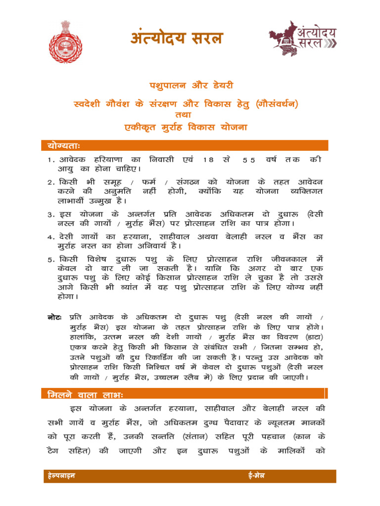 Hindi Document | PDF