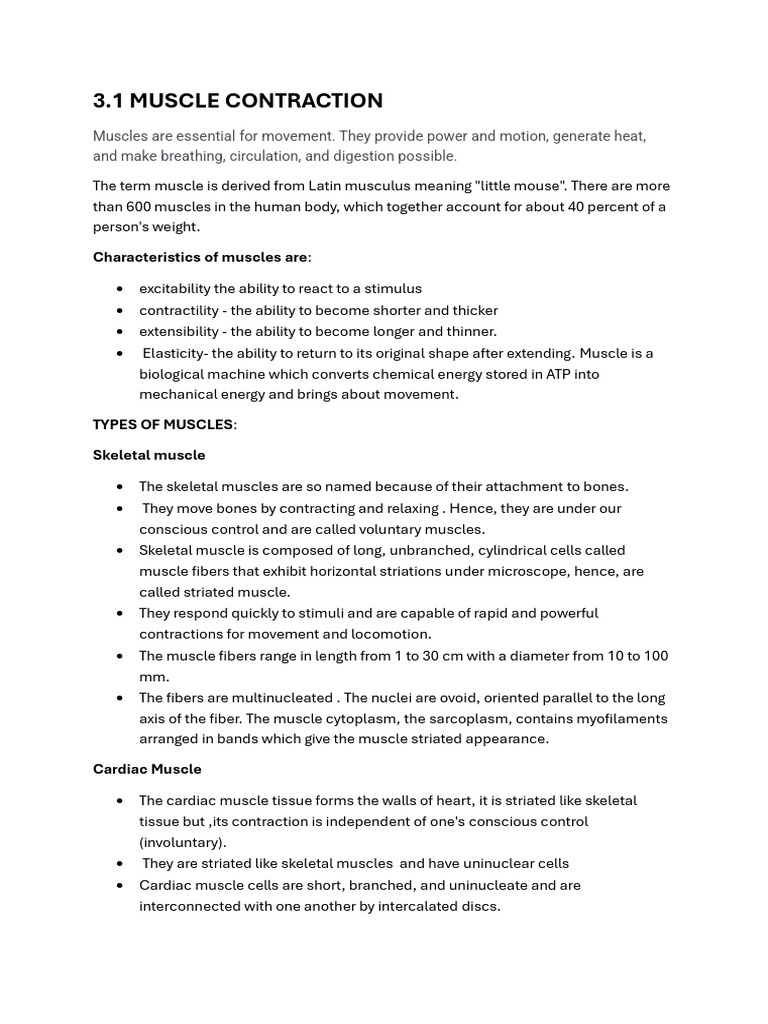 Muscle Contraction and Types Explained | PDF | Muscle Contraction | Muscle