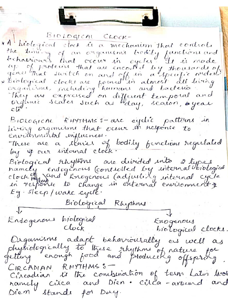 Rhythm Zoo Topic | PDF