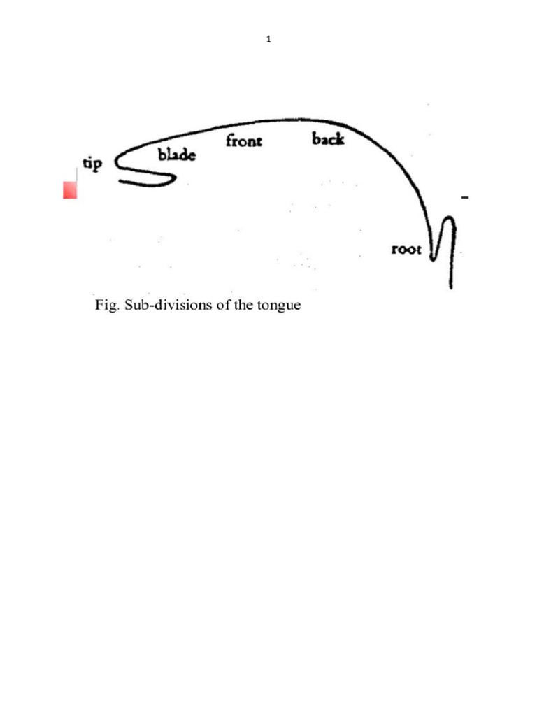 Hel 102 - Phonetics - Diagrams | PDF | Language Arts & Discipline ...