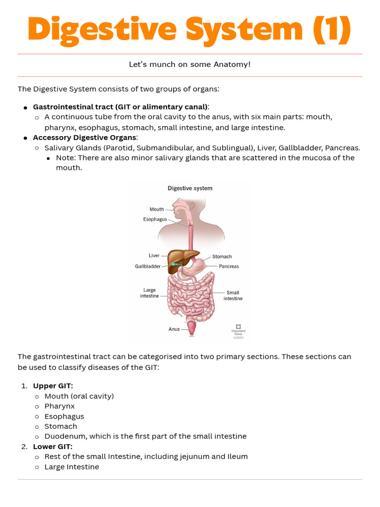 (Fi1) Digestive System 1 | PDF | Tongue | Stomach