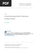 Glaucoma Coding Guidelines and Examples | PDF | Visual Impairment ...