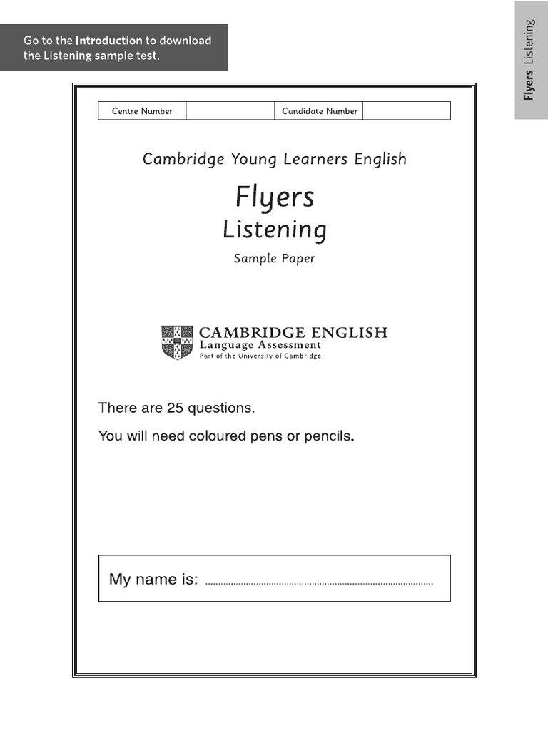 Flyers Sample | PDF