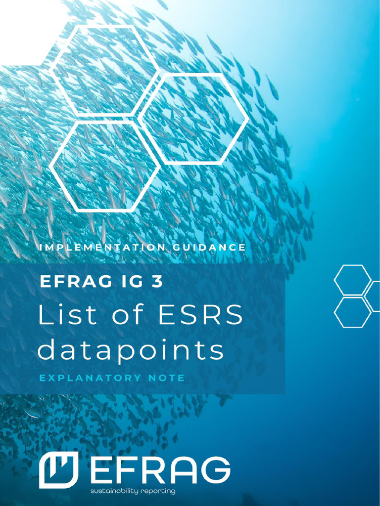 EFRAG IG 3 List of ESRS Data Points - Explanatory Note | PDF | Boolean ...