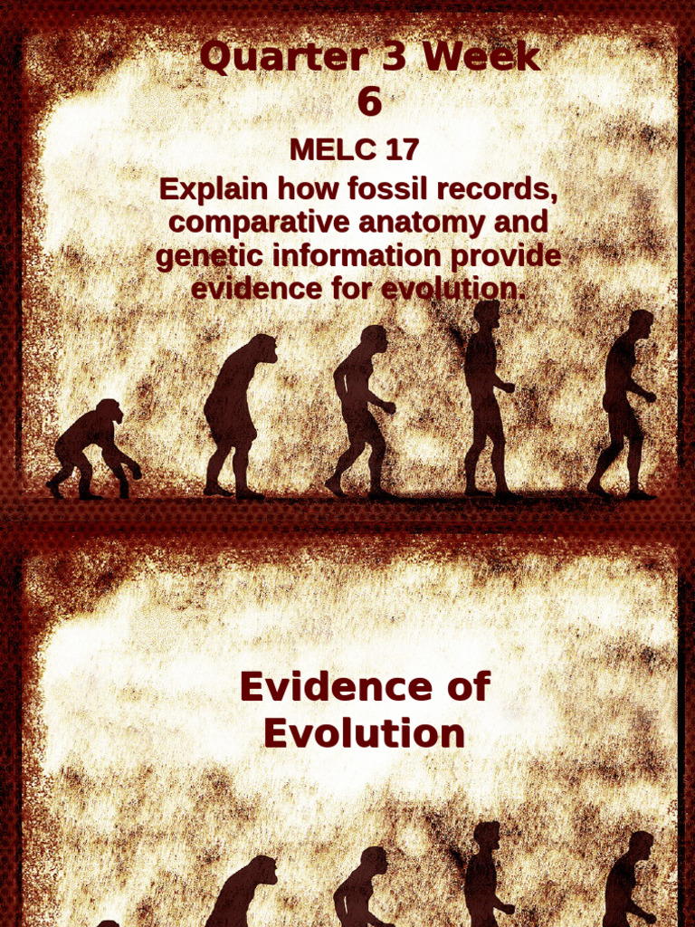 Q3 W6 MELC 17 Evidences of Evolution Part1 SY23 24 | PDF | Geologic Time Scale | Natural Selection