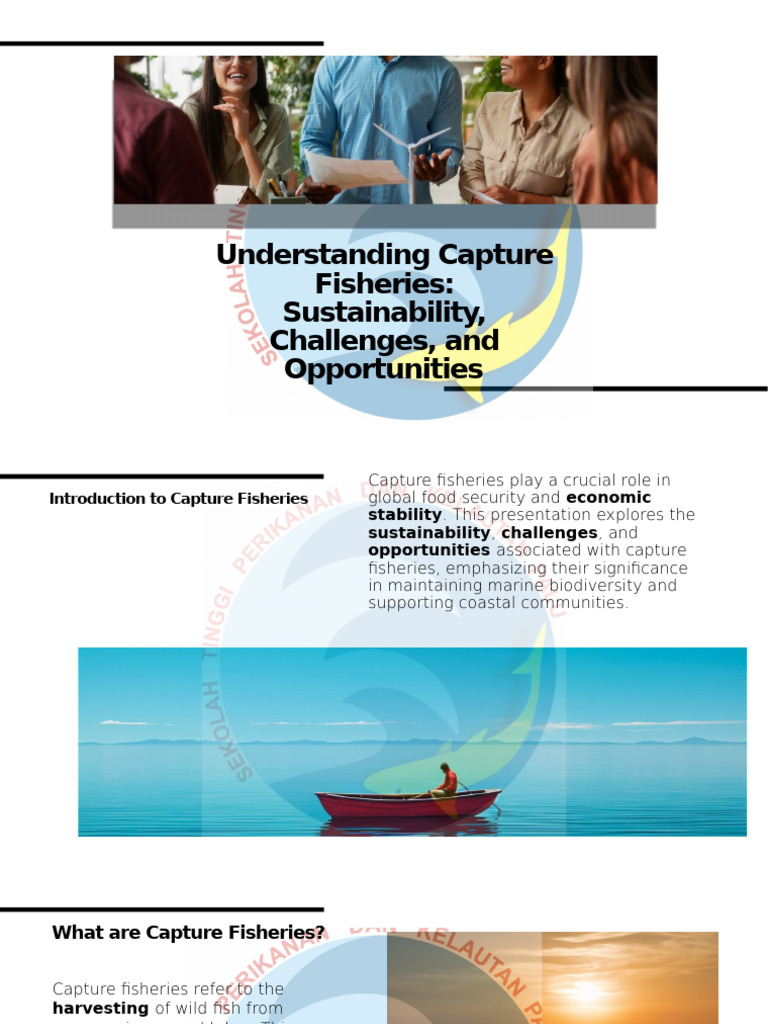 Slidesgo Understanding Capture Fisheries Sustainability Challenges and ...