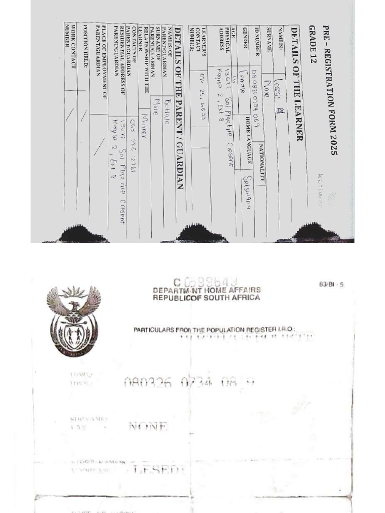 ACE Scanner - 2024 - 10 - 28 | PDF