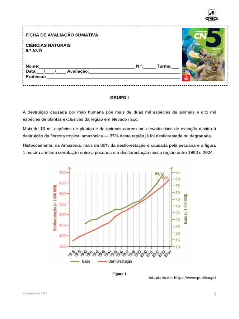 Ae 2ceb Cn5 Ficha Avaliacao Out 2021 | PDF | Rochas (Geologia) | Solo