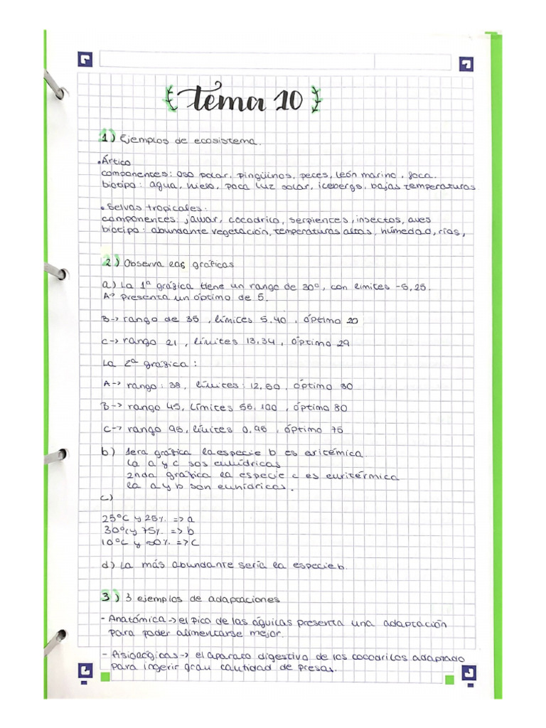 Ejercicios t10 | PDF